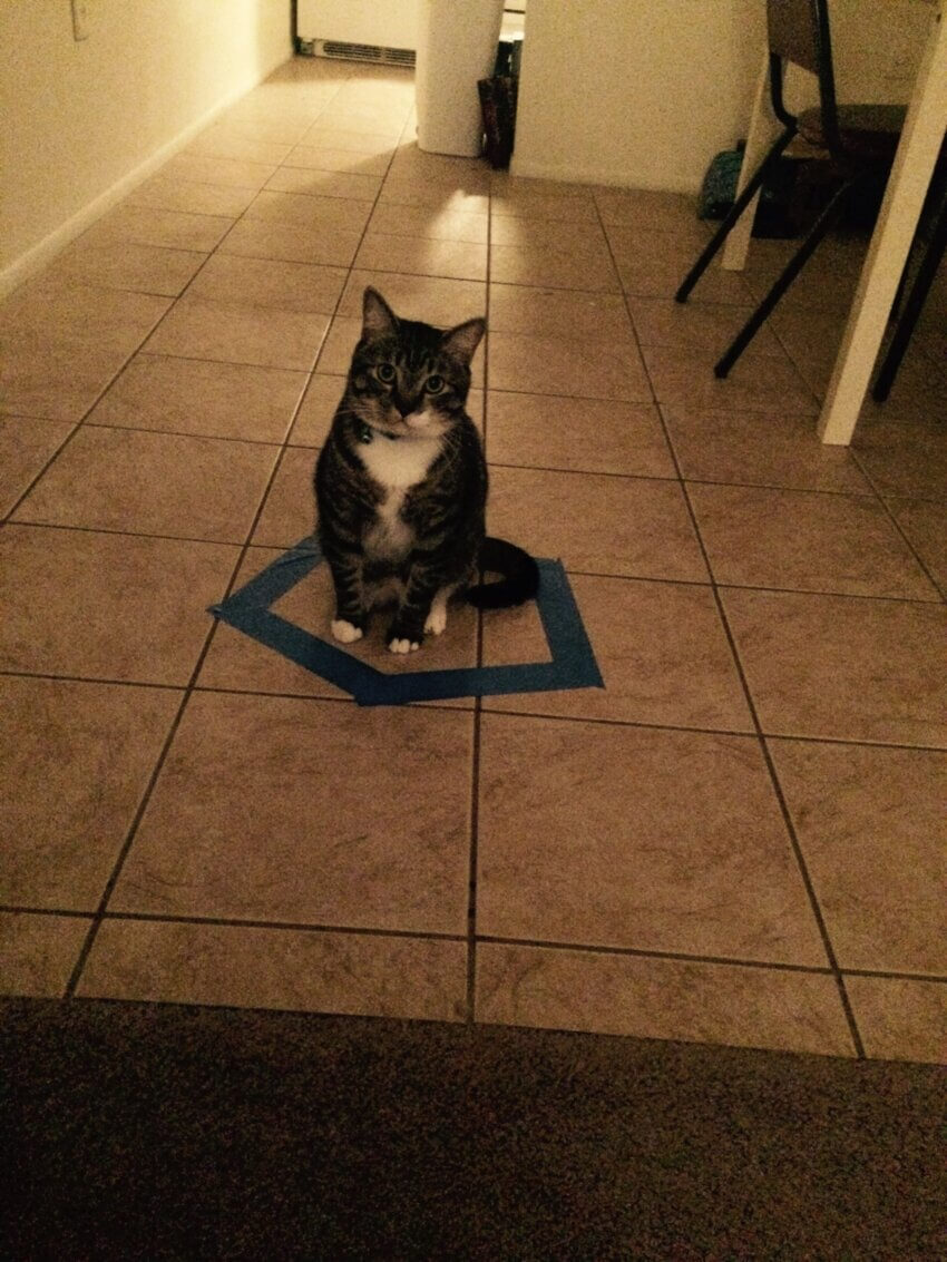 Freedom – Wonderful, Terrifying Freedom - Skeleton-Man